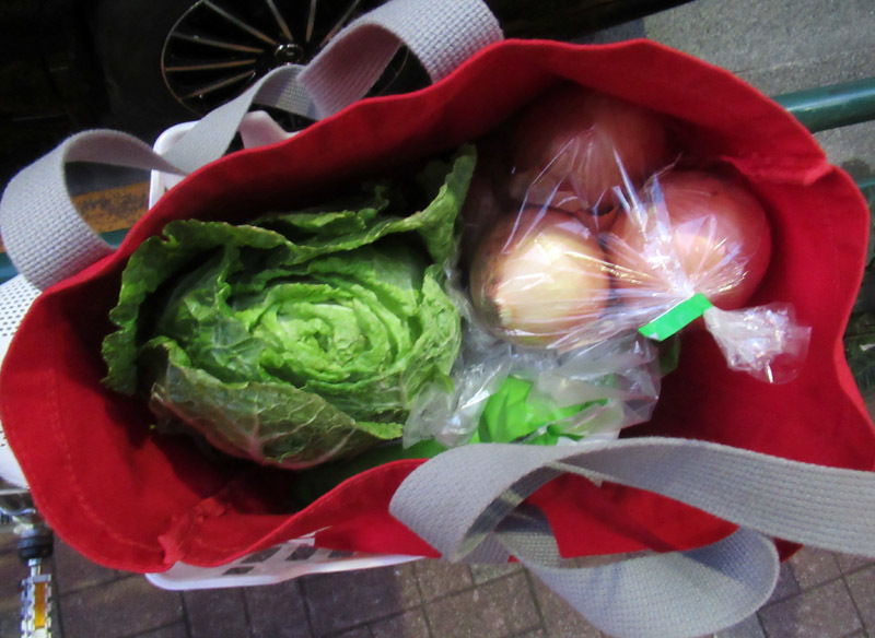 IDIOM 1 ブレーキキャリパー交換 BR-5700: HR_CRF2のブログ